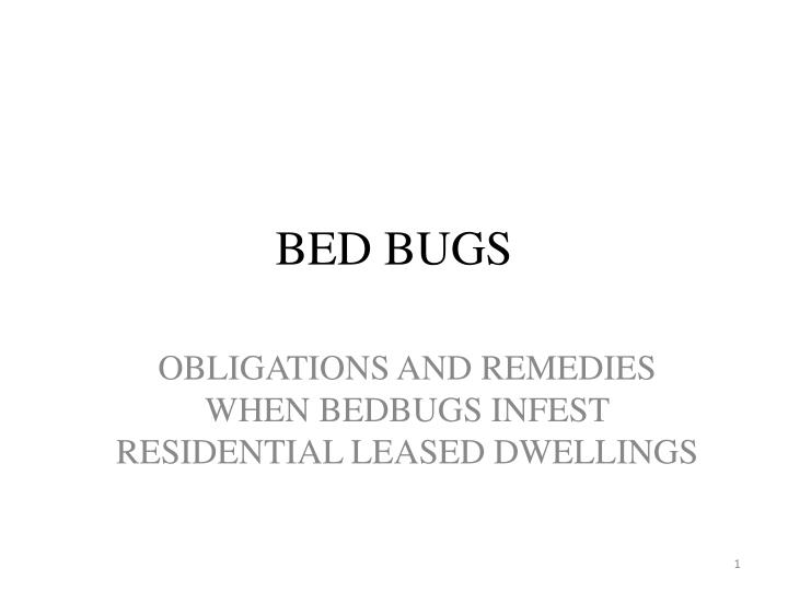 Ppt Bed Bugs Powerpoint Presentation Free Download Id 3274752
