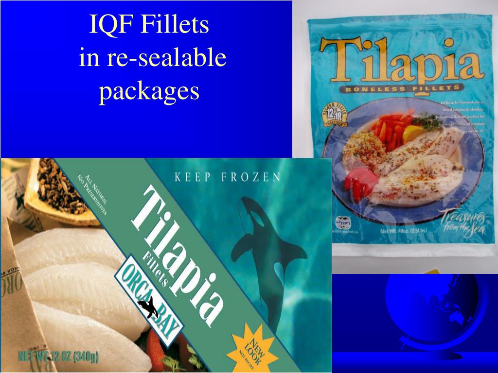 PPT - Tilapia Aquaculture – An Overview: Harvest, Processing, Marketing ...
