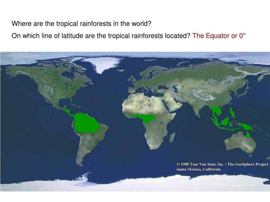PPT - Deserts, Coral Reefs and Tropical Rainforests in the World ...