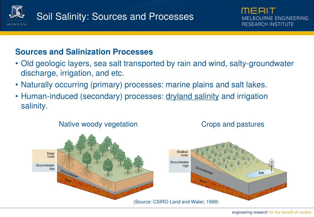 PPT - L-Band Microwave Emission of High-Saline Soils Dongryeol Ryu ...