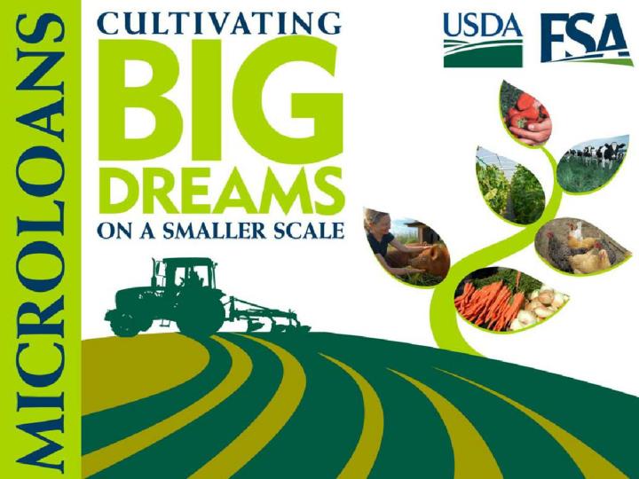 PPT - The Microloan program seeks to more effectively use FSA resources ...