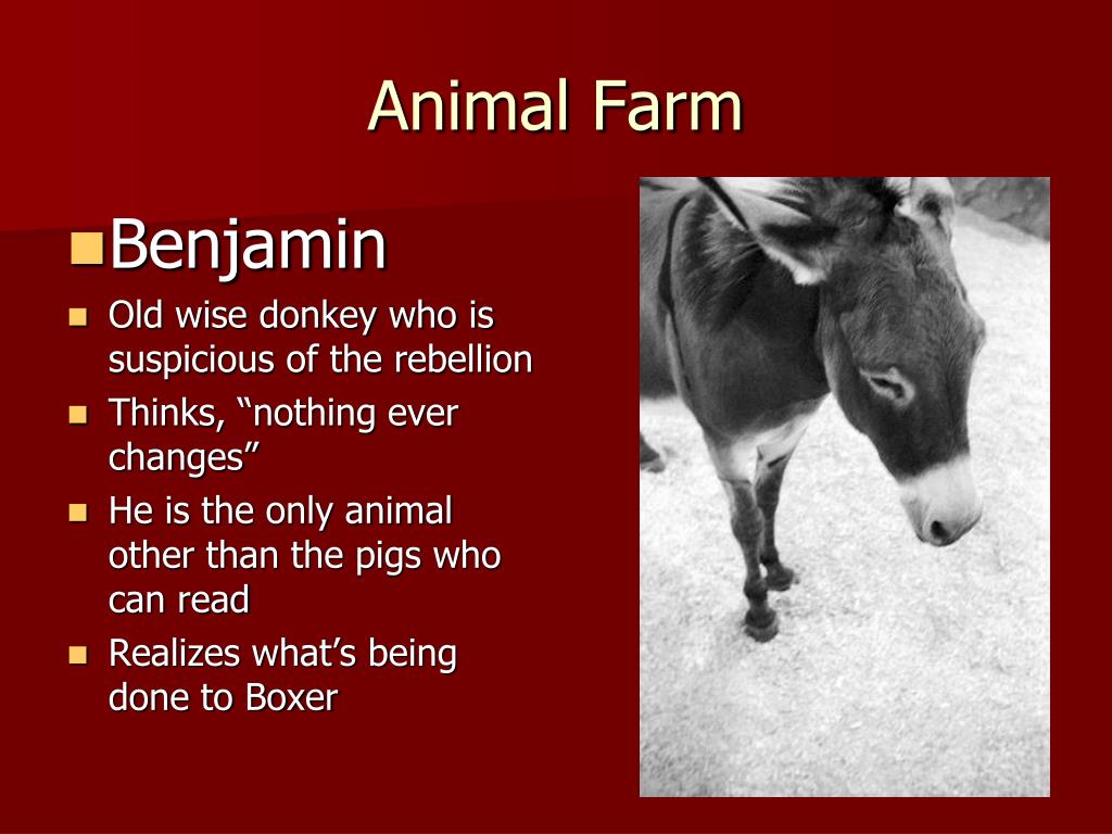 PPT - ALLEGORY Comparing Animal Farm to The Russian Revolution ...