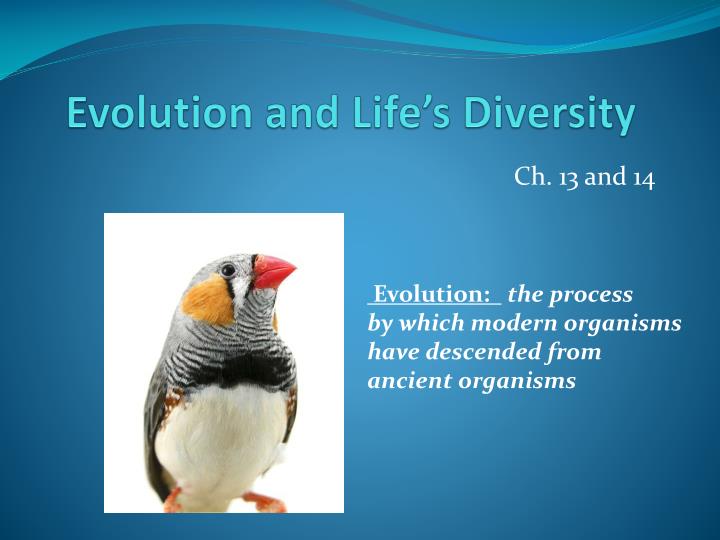 PPT - Evolution and Life’s Diversity PowerPoint Presentation, free ...