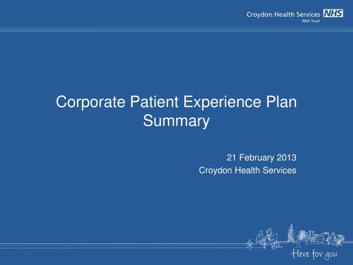 PPT - Corporate Patient Experience Plan Summary PowerPoint Presentation ...