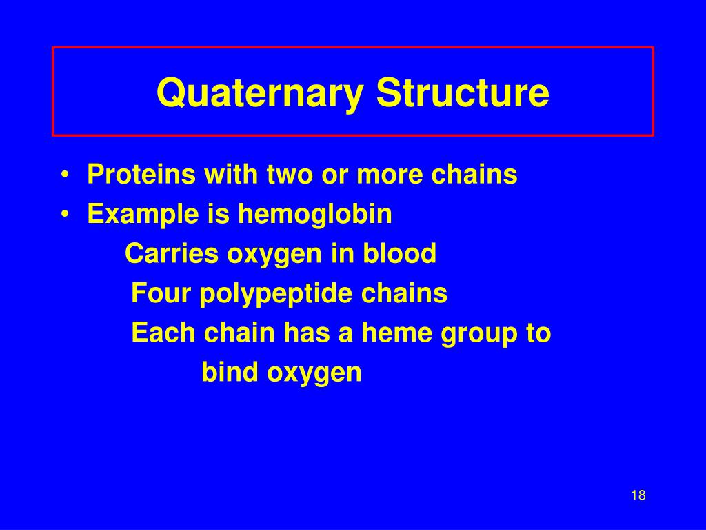 PPT - Amino Acids Proteins, and Enzymes PowerPoint Presentation, free ...
