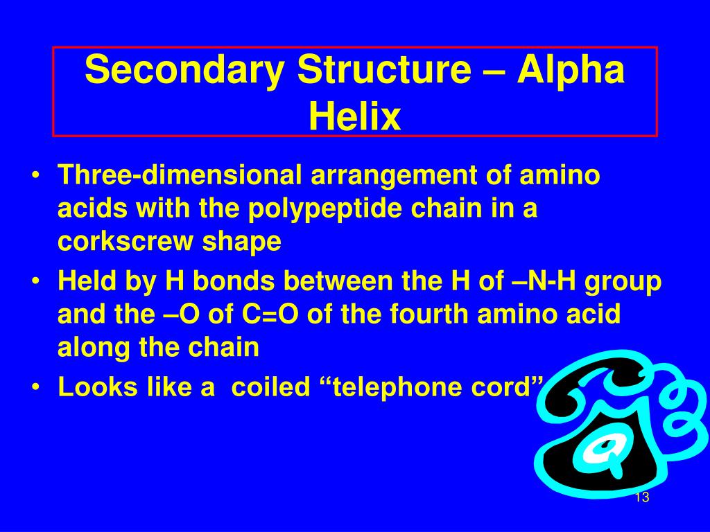 PPT - Amino Acids Proteins, and Enzymes PowerPoint Presentation, free ...