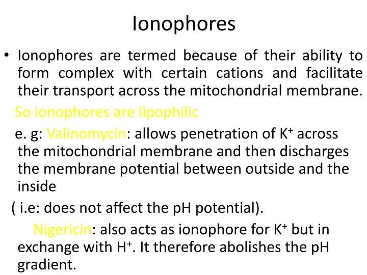 PPT - Electron transport chain-2 PowerPoint Presentation - ID:3275910
