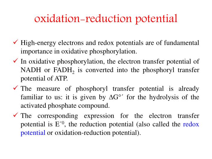 PPT - Electron transport chain-2 PowerPoint Presentation - ID:3275910