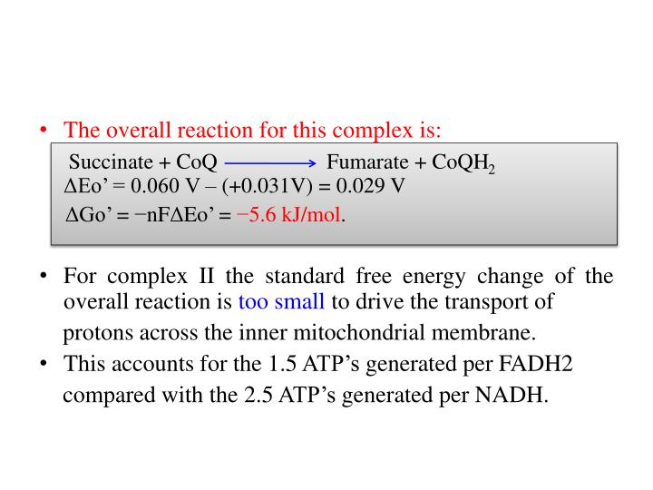 PPT - Electron transport chain-2 PowerPoint Presentation - ID:3275910