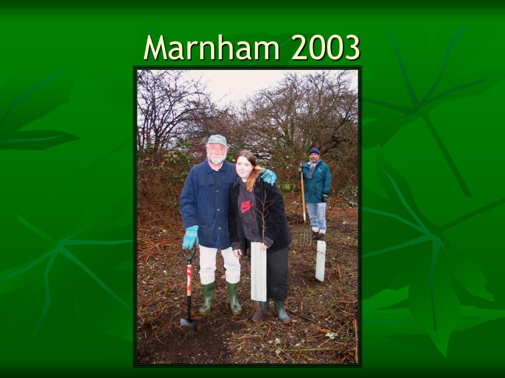 PPT - The biggest park to be made in London in the past 100 years ...