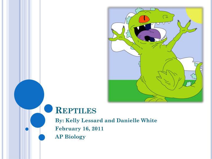 PPT - Reptiles PowerPoint Presentation, free download - ID:3276980
