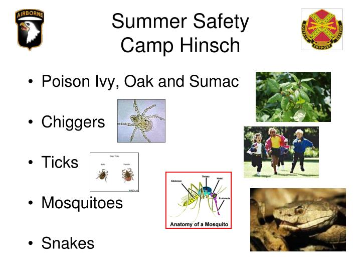 PPT - Summer Safety Camp Hinsch PowerPoint Presentation, free download ...