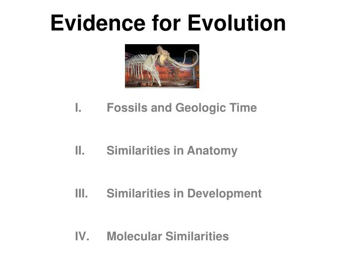 PPT - Evidence for Evolution PowerPoint Presentation, free download ...
