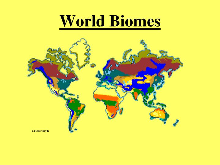 PPT - World Biomes PowerPoint Presentation, free download - ID:3277247