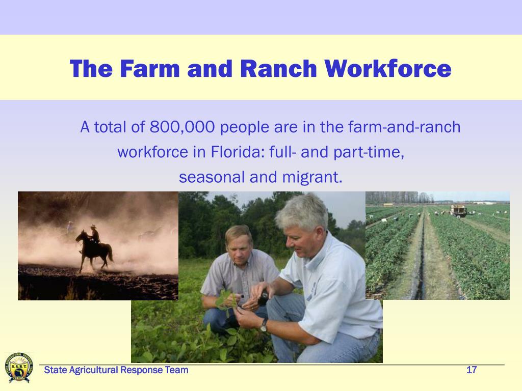 PPT - Introducing Florida’s Livestock & Horse Industries PowerPoint ...