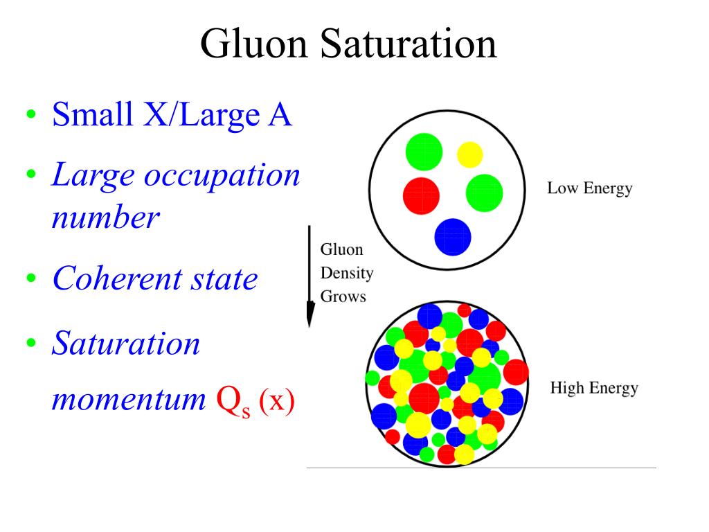 PPT - Color Glass Condensate at RHIC PowerPoint Presentation, free ...