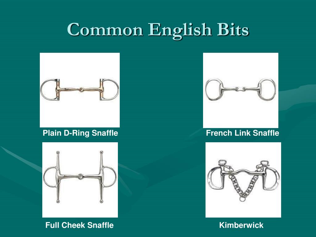 PPT - Maryland 4-H Horsemanship Standards Riding Levels 1 - 2 ...
