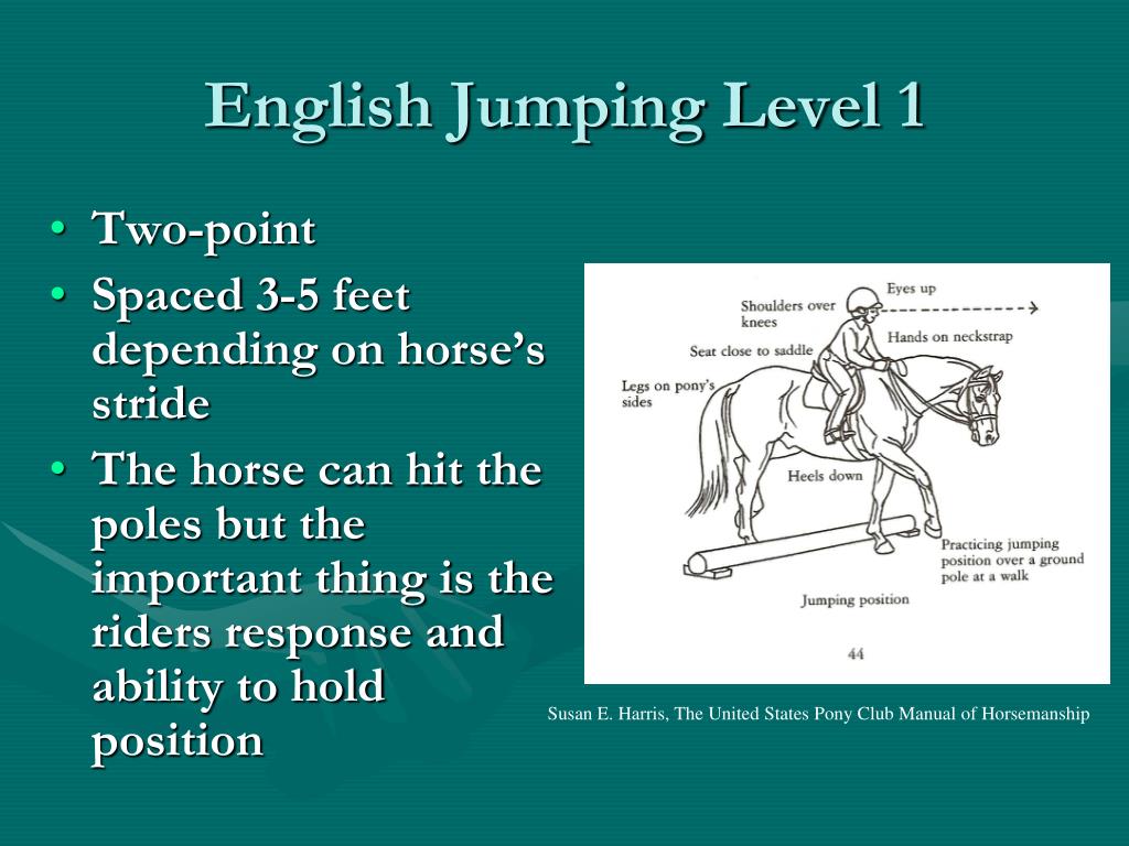 PPT - Maryland 4-H Horsemanship Standards Riding Levels 1 - 2 ...
