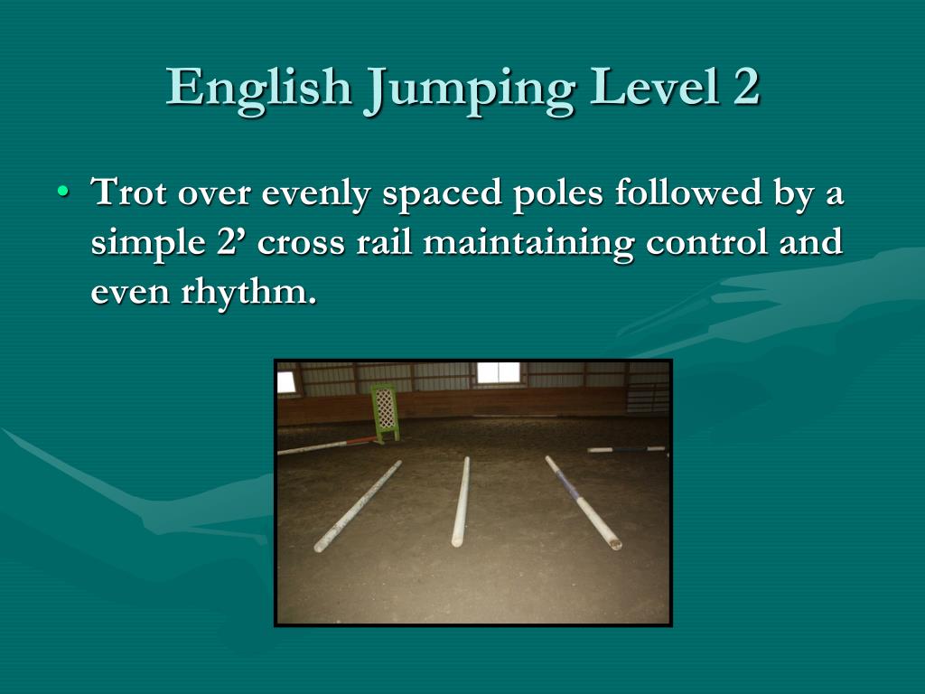 PPT - Maryland 4-H Horsemanship Standards Riding Levels 1 - 2 ...