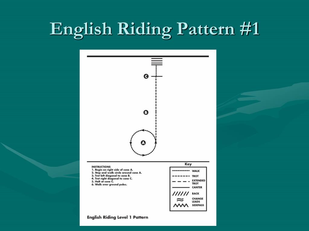 PPT - Maryland 4-H Horsemanship Standards Riding Levels 1 - 2 ...