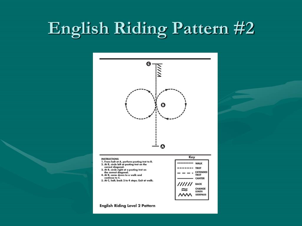 PPT - Maryland 4-H Horsemanship Standards Riding Levels 1 - 2 ...