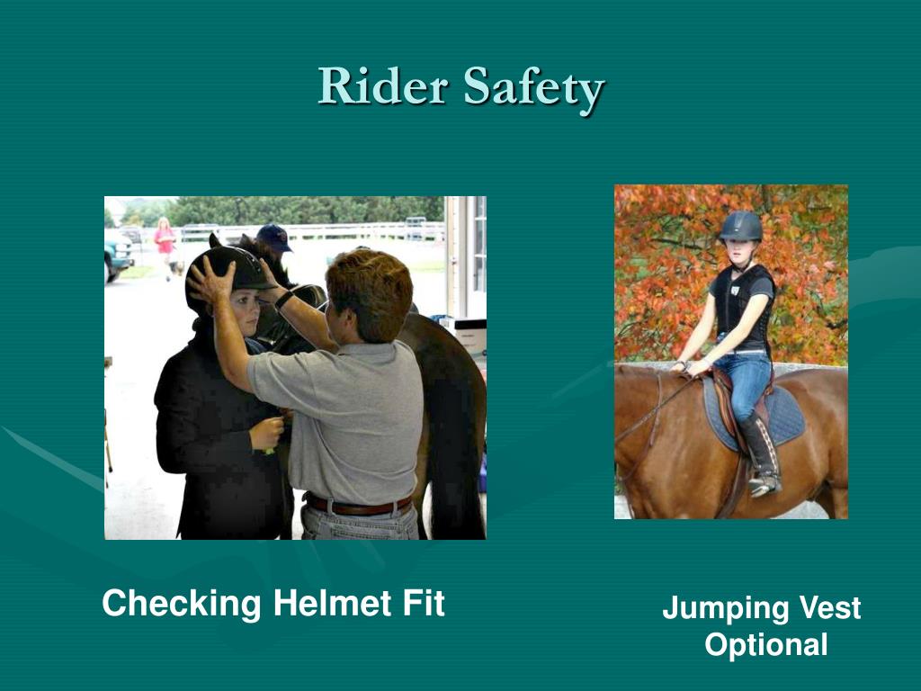 PPT - Maryland 4-H Horsemanship Standards Riding Levels 1 - 2 ...