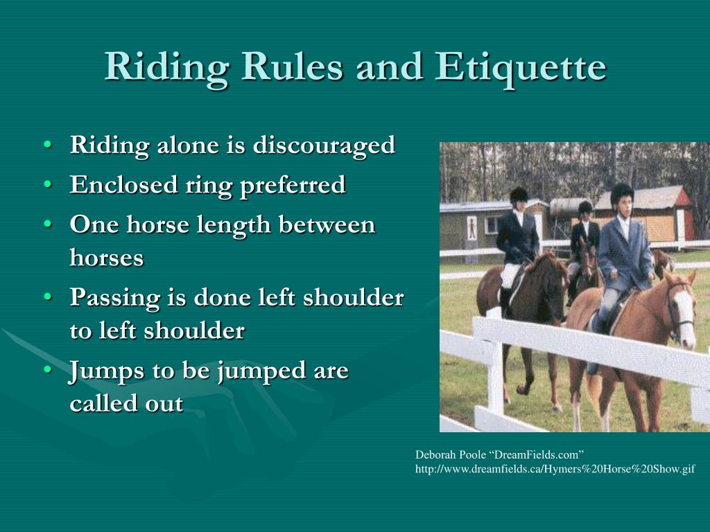 PPT - Maryland 4-H Horsemanship Standards Riding Levels 1 - 2 ...