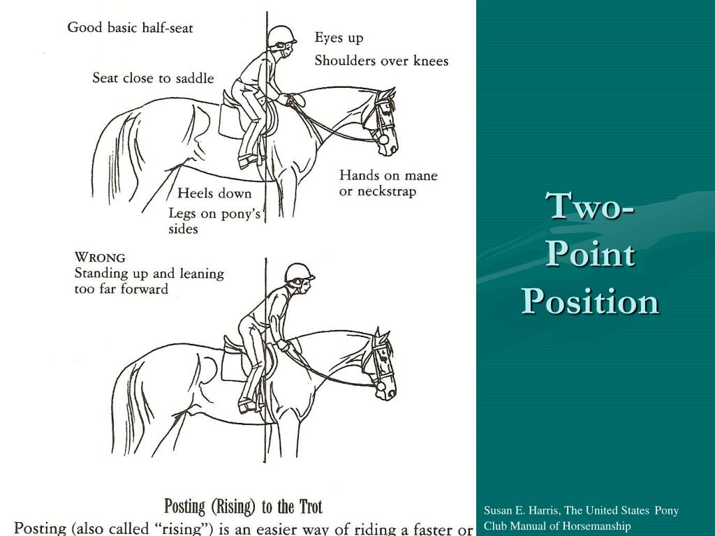 PPT - Maryland 4-H Horsemanship Standards Riding Levels 1 - 2 ...