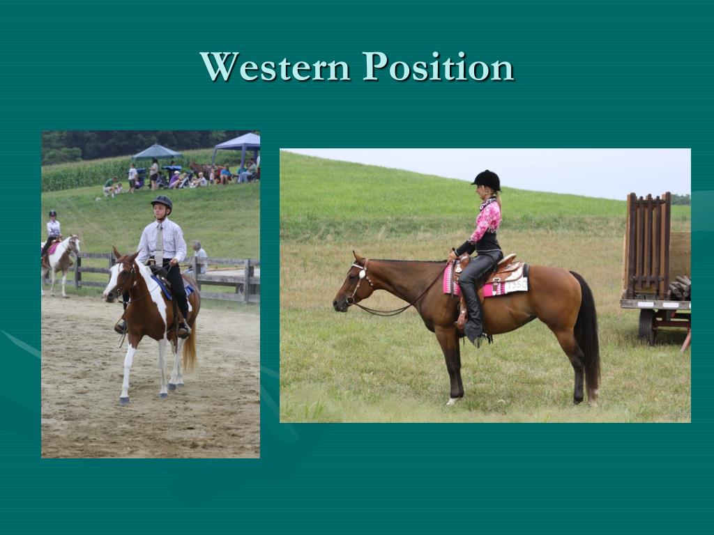 PPT - Maryland 4-H Horsemanship Standards Riding Levels 1 - 2 ...