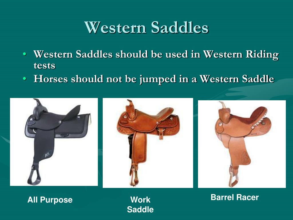 PPT - Maryland 4-H Horsemanship Standards Riding Levels 1 - 2 ...
