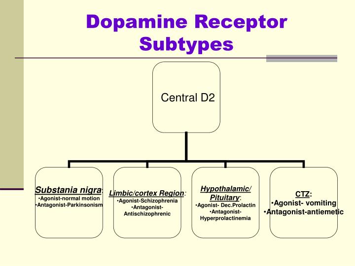 PPT - Antipsychotic Agents PowerPoint Presentation - ID:3278700