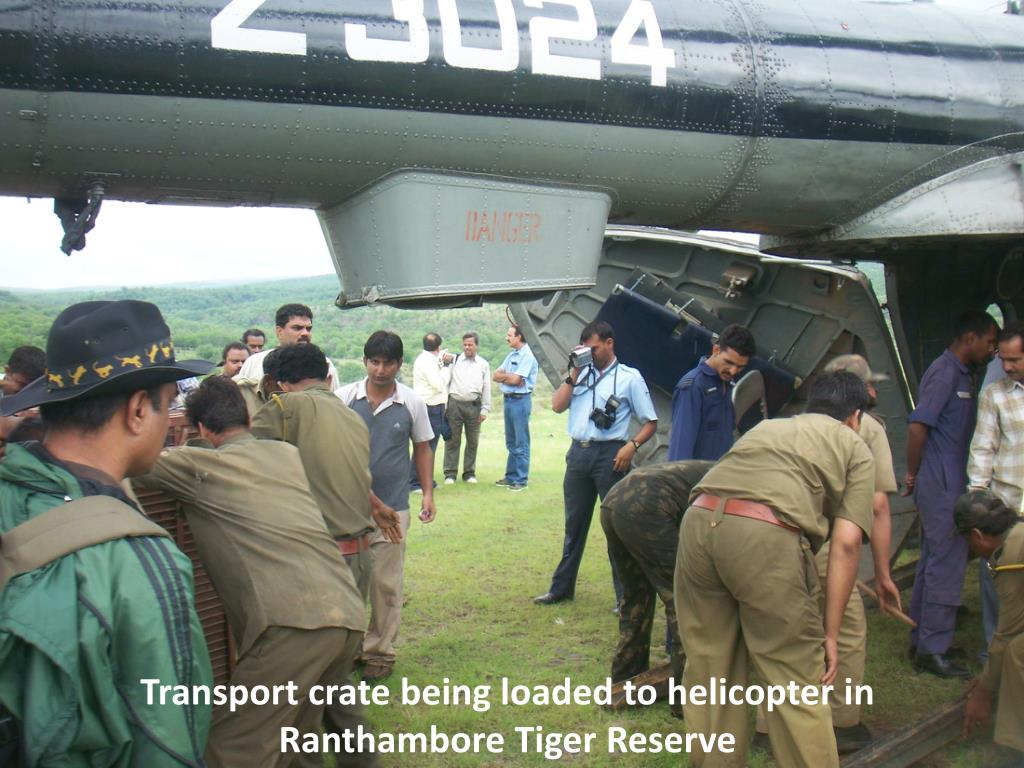 PPT - STUDY ABROAD COURSE Wildlife Management & Conservation in India ...