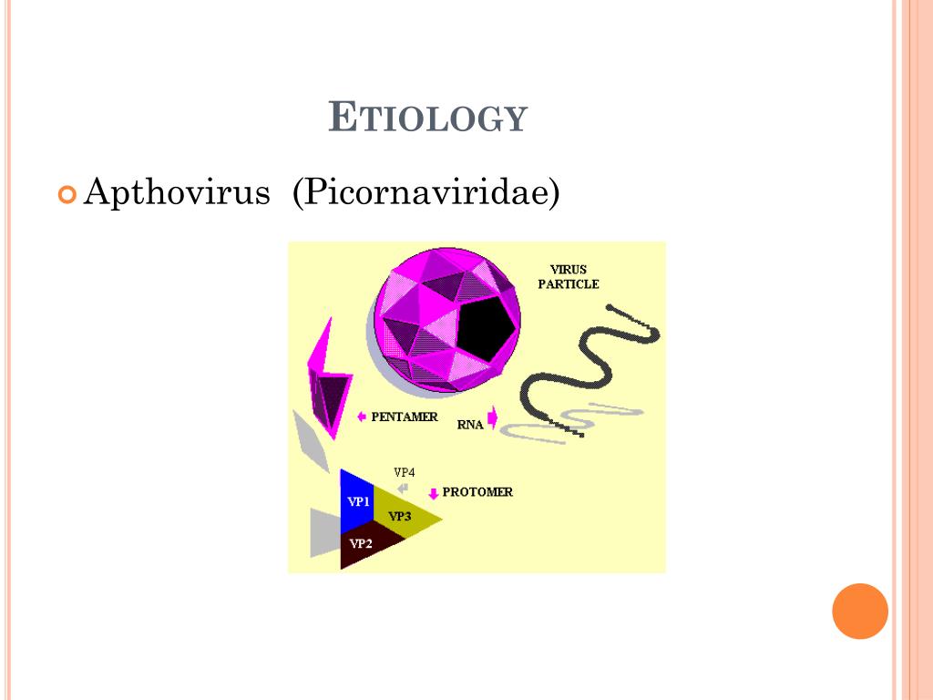 PPT - Foot and Mouth Disease PowerPoint Presentation, free download ...