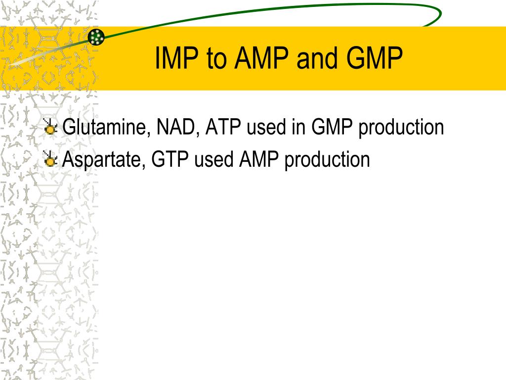 PPT - Nucleic Acid Metabolism Robert F. Waters, PhD PowerPoint ...