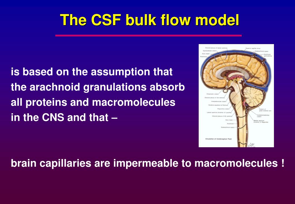 PPT - Dan Greitz Dept. of Neuroradiology Karolinska University Hospital ...