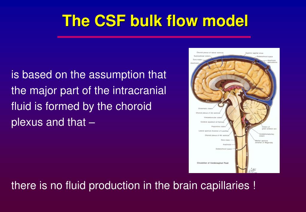 PPT - Dan Greitz Dept. of Neuroradiology Karolinska University Hospital ...
