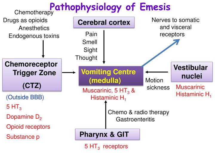 PPT - Antiemetics PowerPoint Presentation - ID:3280912