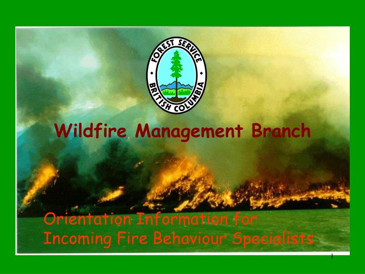 PPT - Wildfire Management Branch PowerPoint Presentation, free download ...
