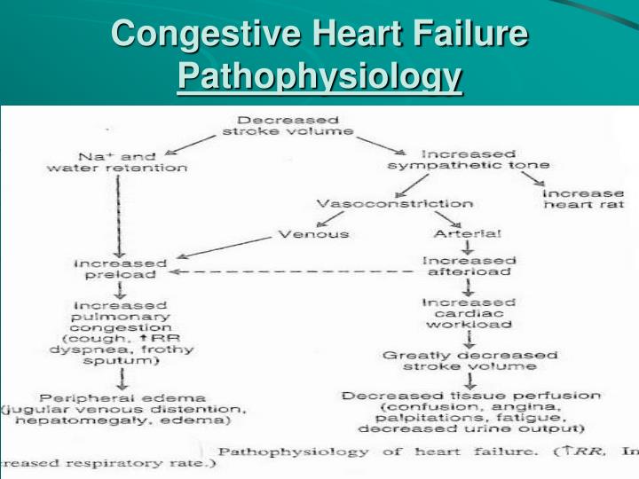 Congestive Heart Failure Schematic Diagram Congestive Heart Failure ... Congestive Heart Failure Schematic Diagram Congestive Heart Failure ...