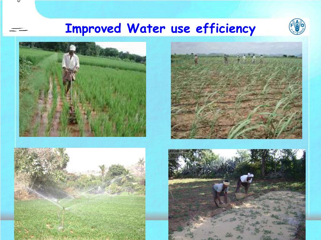 PPT - Andhra Pradesh Farmer Managed Groundwater Systems (APFAMGS ...