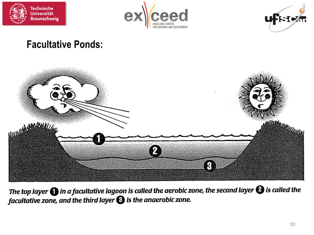 PPT - STABILIZATION PONDS Eng. Dr. Erich Kellner November, 7 th – 2012 ...