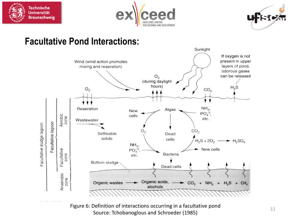 PPT - STABILIZATION PONDS Eng. Dr. Erich Kellner November, 7 th – 2012 ...
