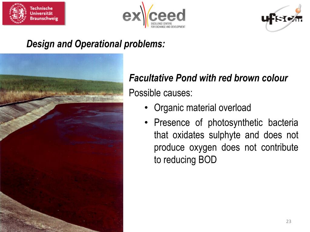 PPT - STABILIZATION PONDS Eng. Dr. Erich Kellner November, 7 th – 2012 ...