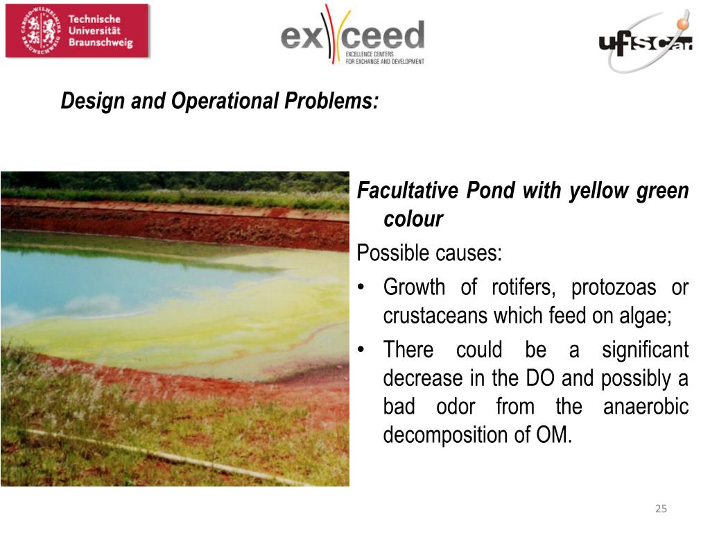 PPT - STABILIZATION PONDS Eng. Dr. Erich Kellner November, 7 th – 2012 ...