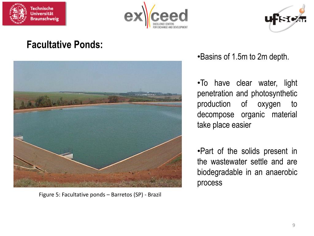 PPT - STABILIZATION PONDS Eng. Dr. Erich Kellner November, 7 th – 2012 ...