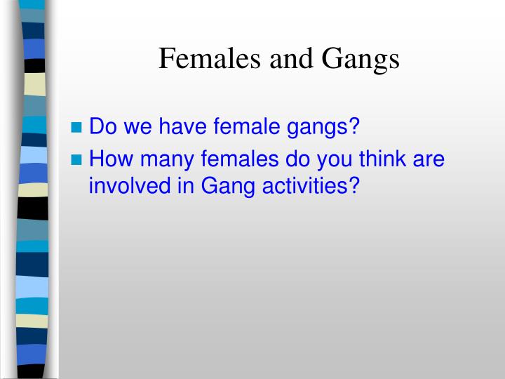 PPT - GANG AWARENESS PowerPoint Presentation - ID:3283494