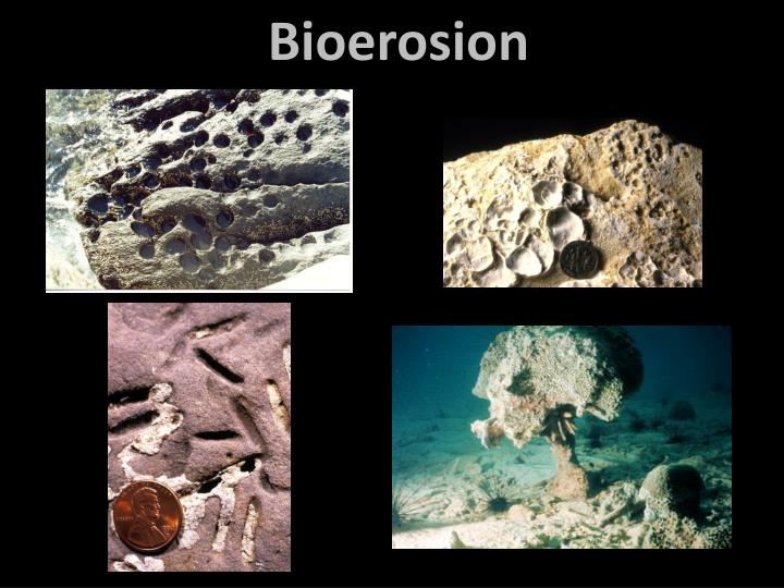 PPT - The Process of Erosion and Deposition of Sediments PowerPoint ...
