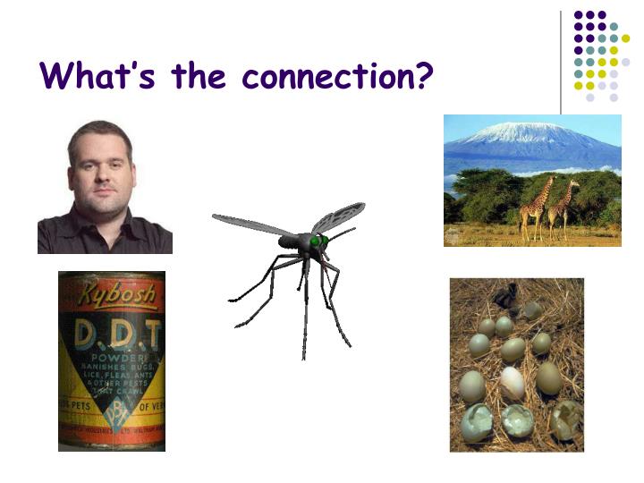 PPT - What’s the connection? PowerPoint Presentation, free download ...