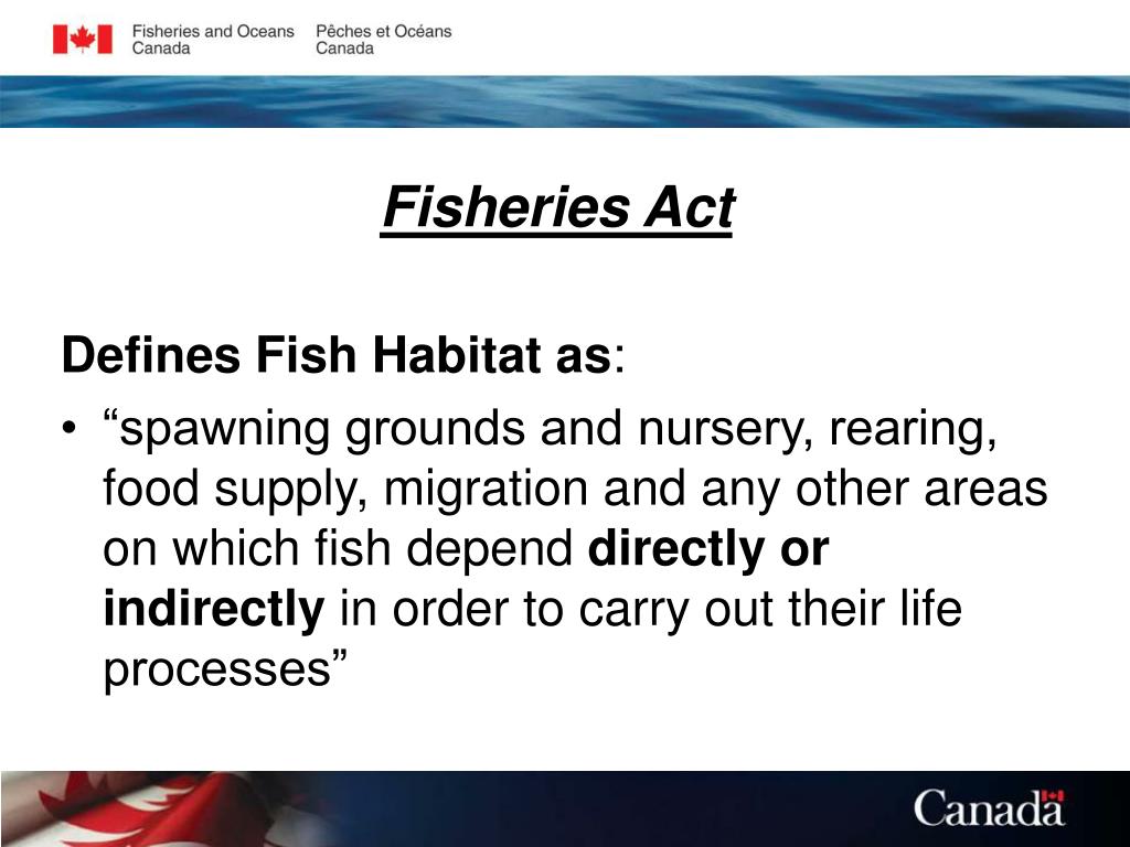 PPT - DFO’s Application of the Fisheries Act (and Species at Risk Act ...