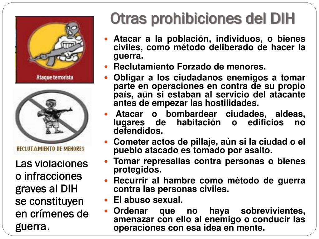 PPT - Normas, Principios y prohibiciones del Derecho Internacional ...